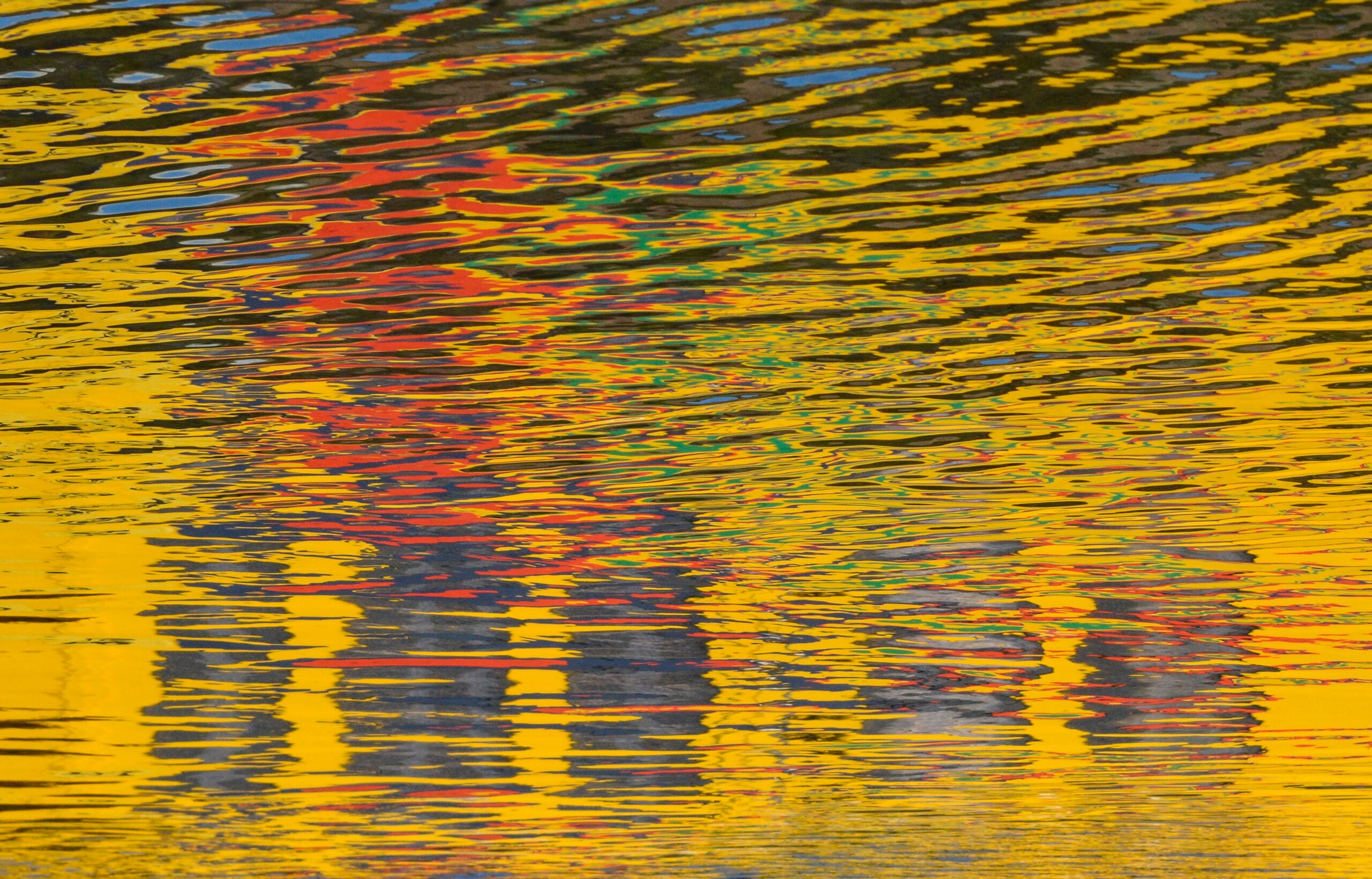 Precepts II – Entering the Way of Compassion: The Practices of a ...