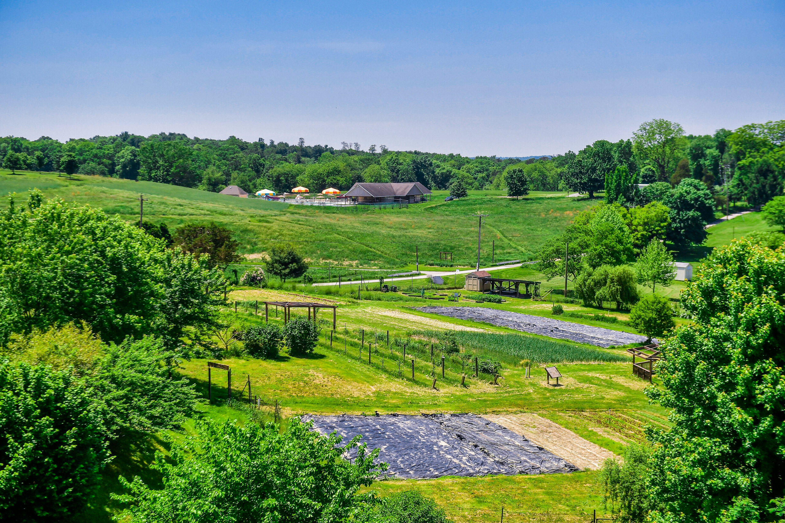 2025 Family Farm Camp