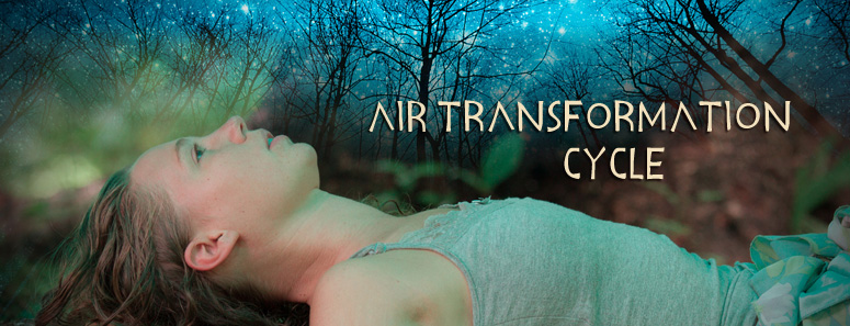Early Bird AIR Transformation CYCLE