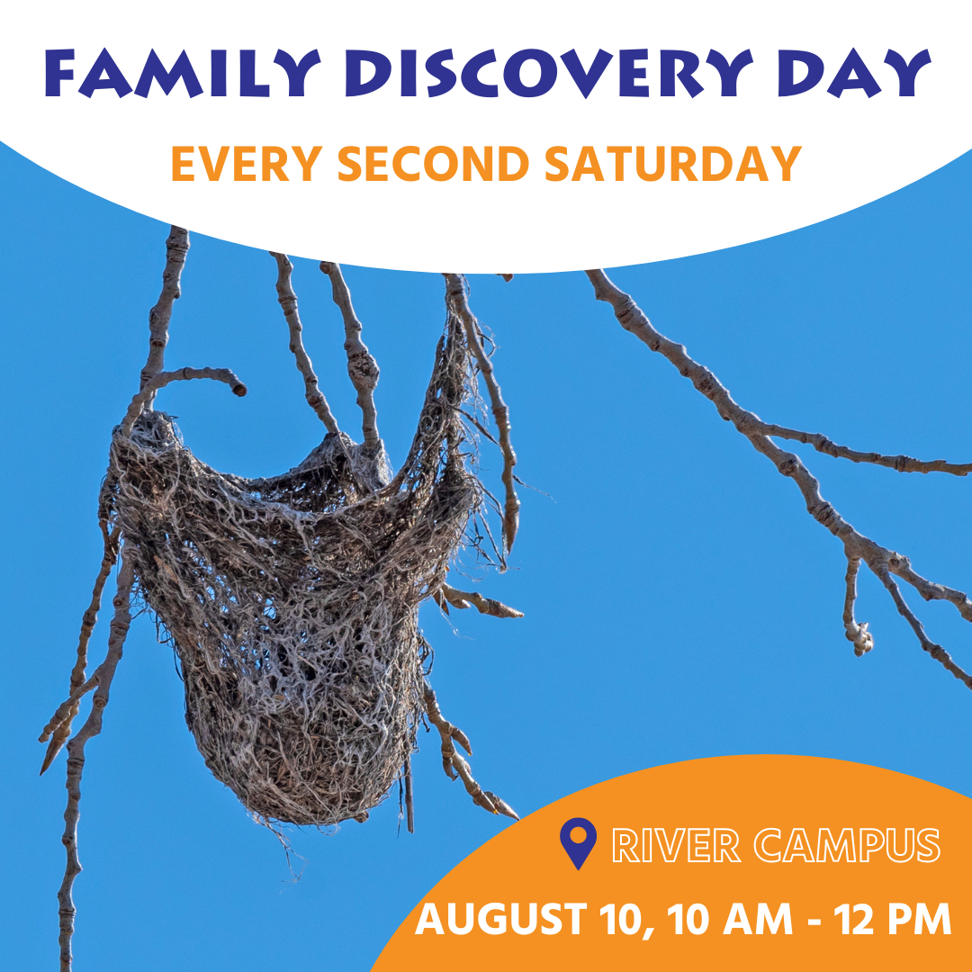 August: Family Discovery Day Program
